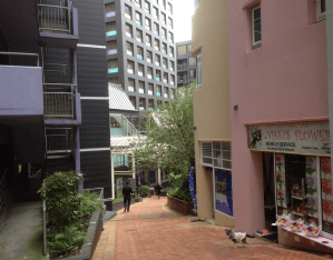 Plimmer’s Steps – Wellington Steps
