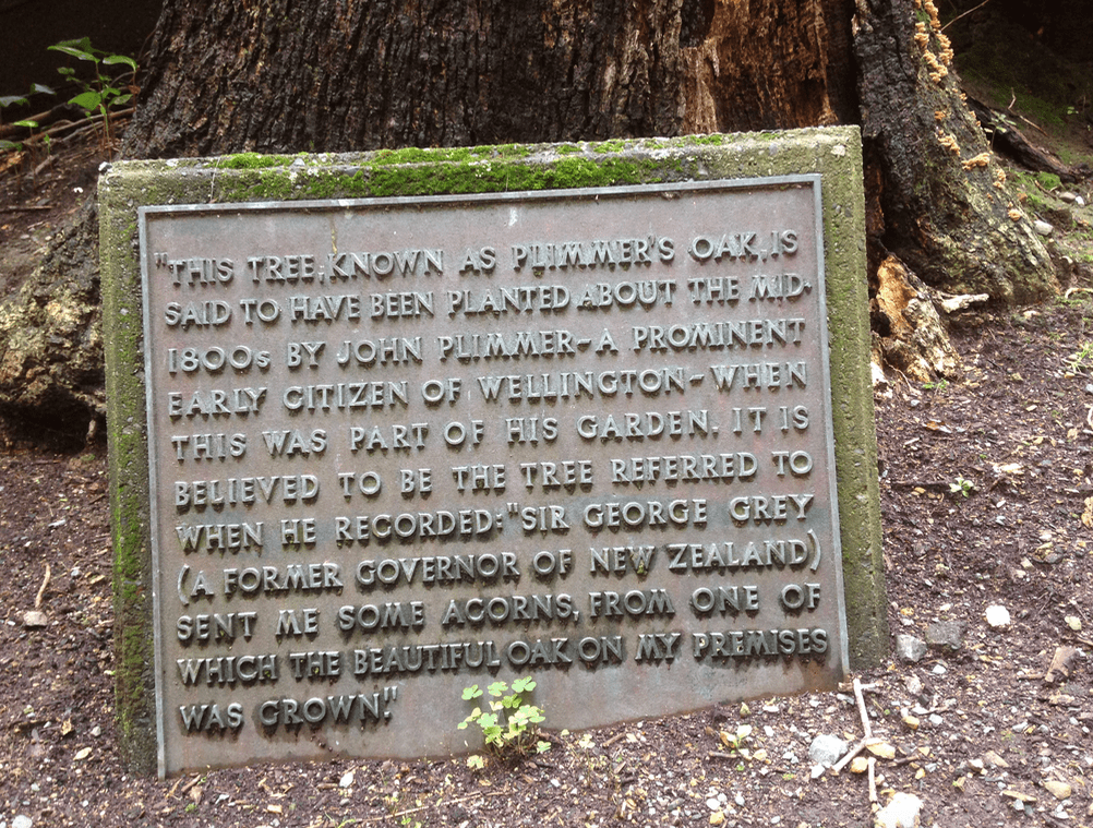 Plimmer’s Steps – Wellington Steps