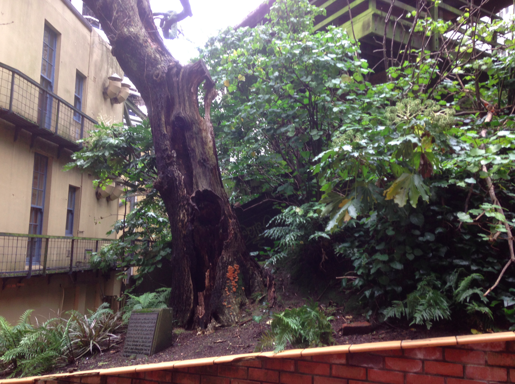 Plimmer’s Steps – Wellington Steps