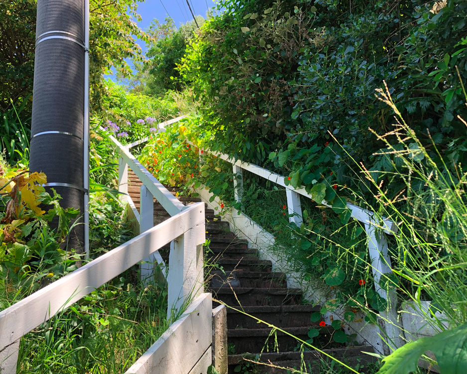 Maida Vale Steps – Wellington Steps