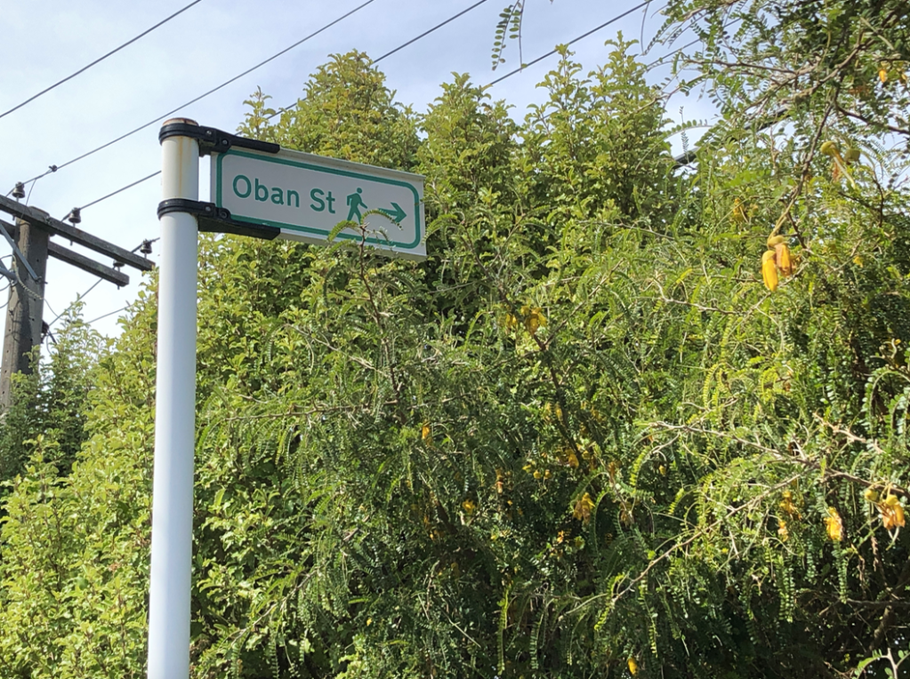 Oban Street Steps to Oban Street – Wellington Steps