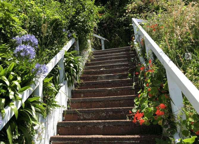 One Hundred (and more) Steps – Wellington Steps