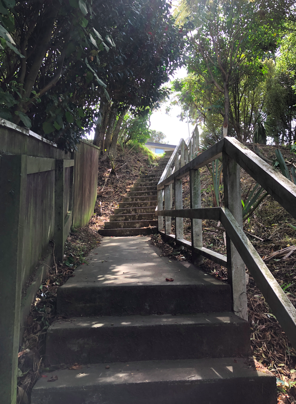 Oban Street Steps to Oban Street – Wellington Steps