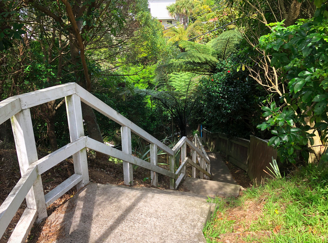 Oban Street Steps to Oban Street – Wellington Steps