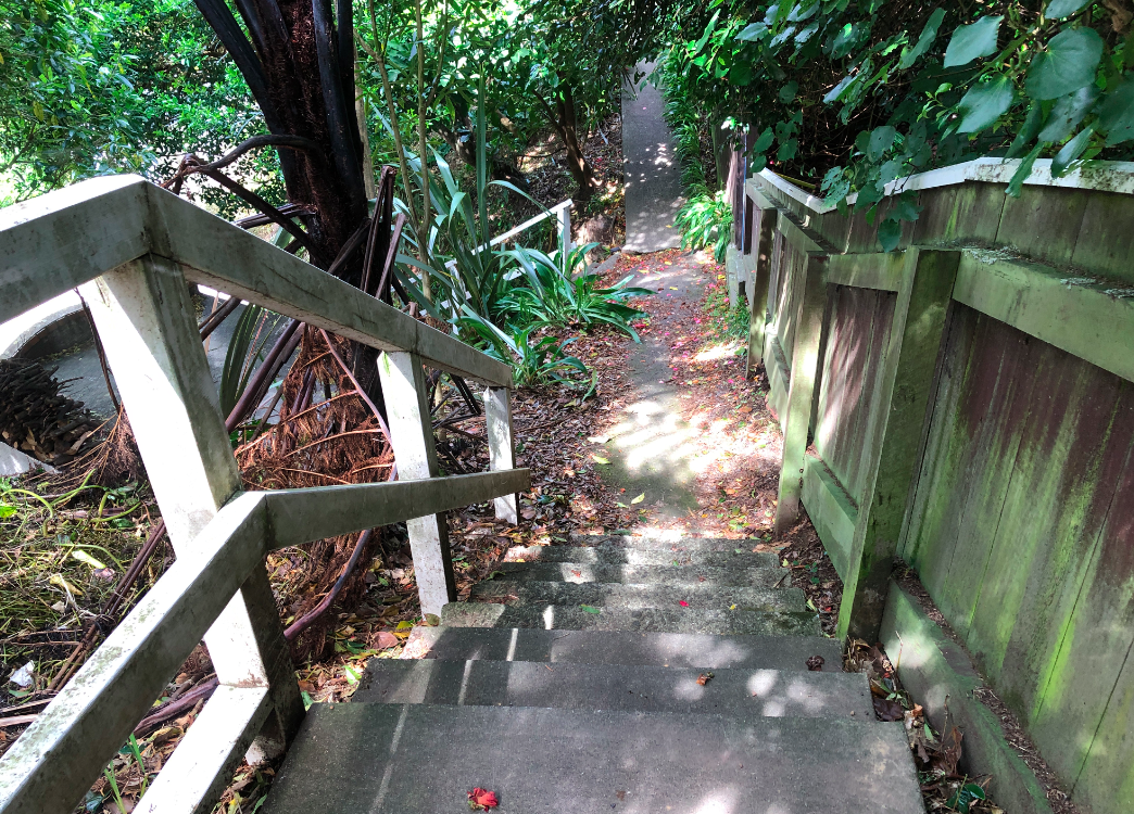 Oban Street Steps to Oban Street – Wellington Steps