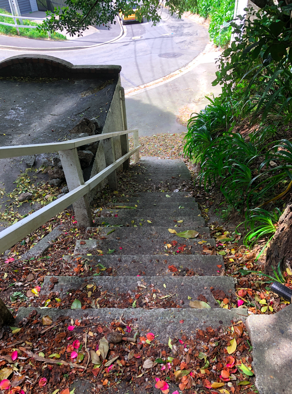 Oban Street Steps to Oban Street – Wellington Steps