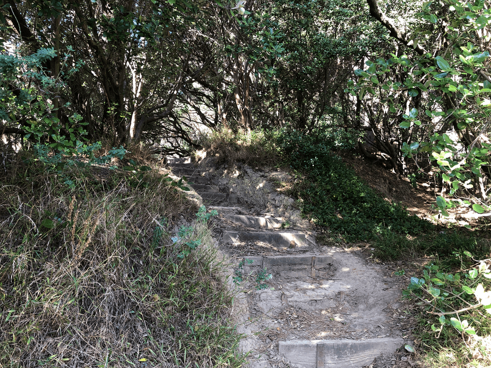 Pirie Street Steps – Wellington Steps